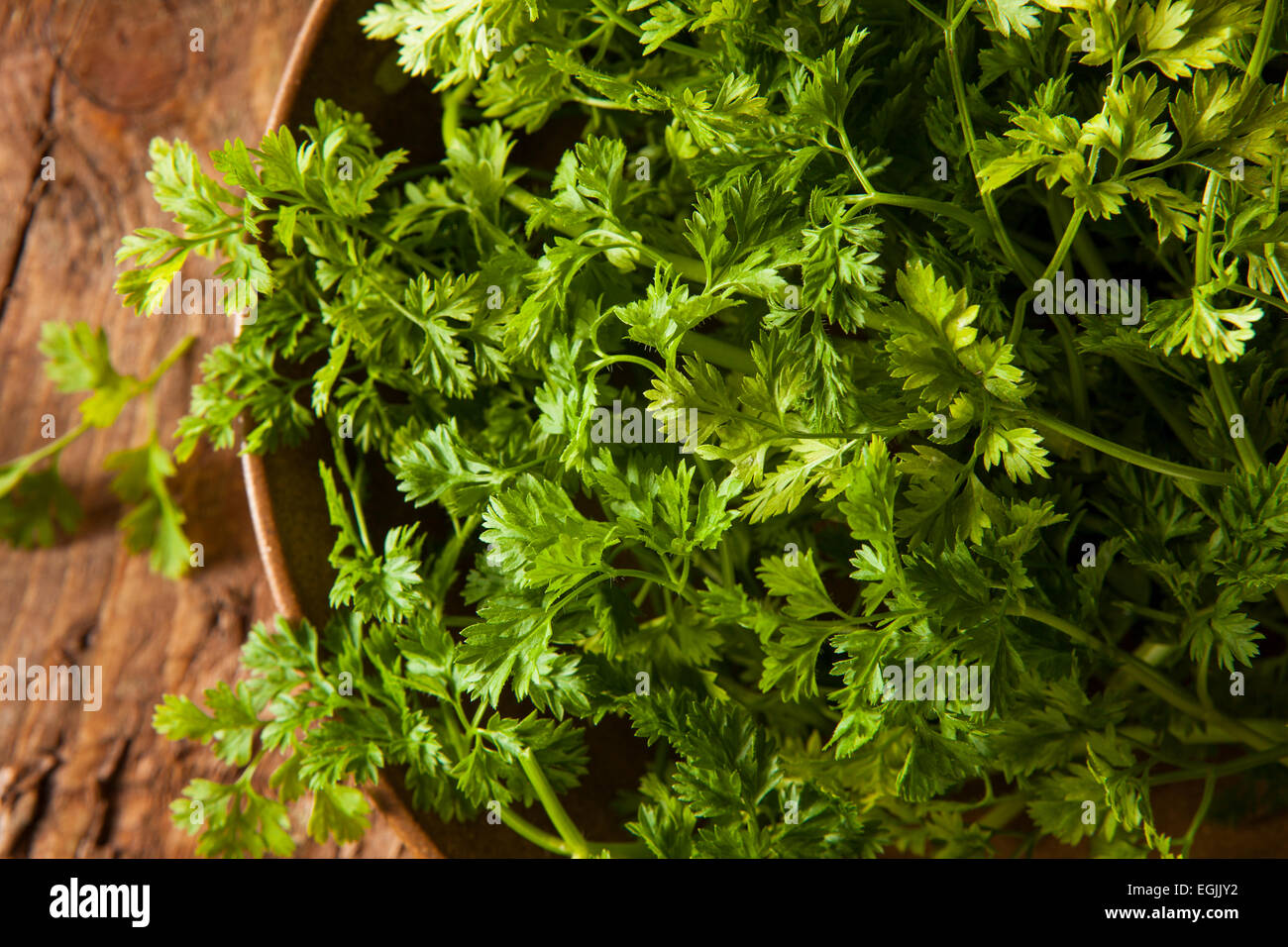 Raw Organic French Parsley Chervil on a Background Stock Photo - Alamy