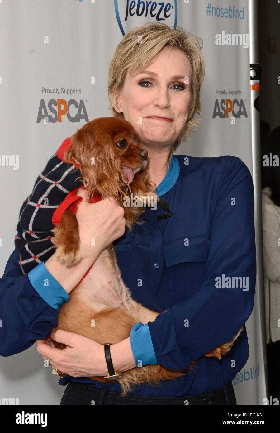 New York, NY, USA. 25th Feb, 2015. Jane Lynch with Toast (Toast Meets ...