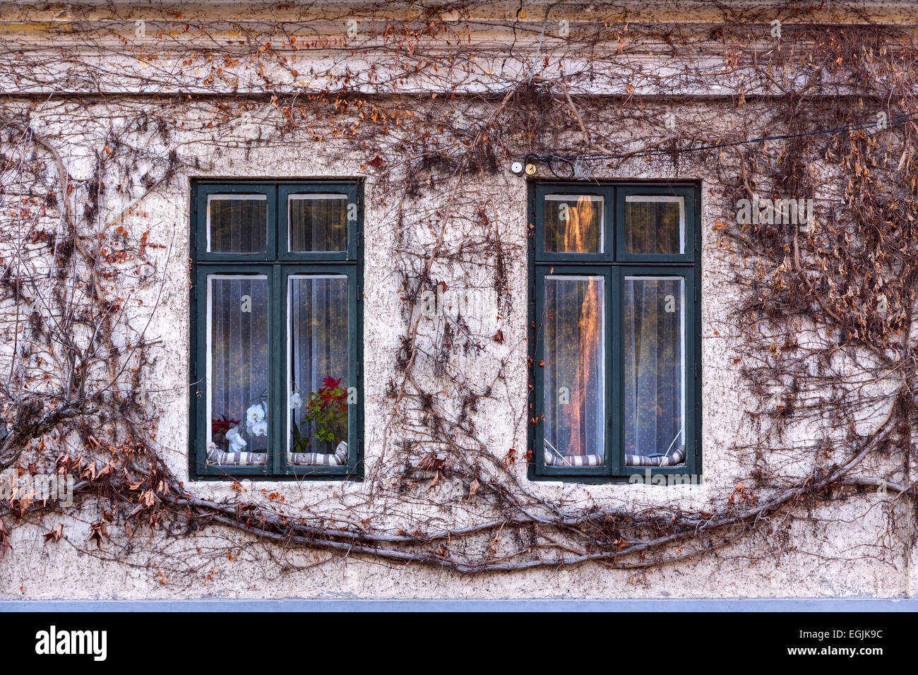 Dirty windows hi-res stock photography and images - Alamy