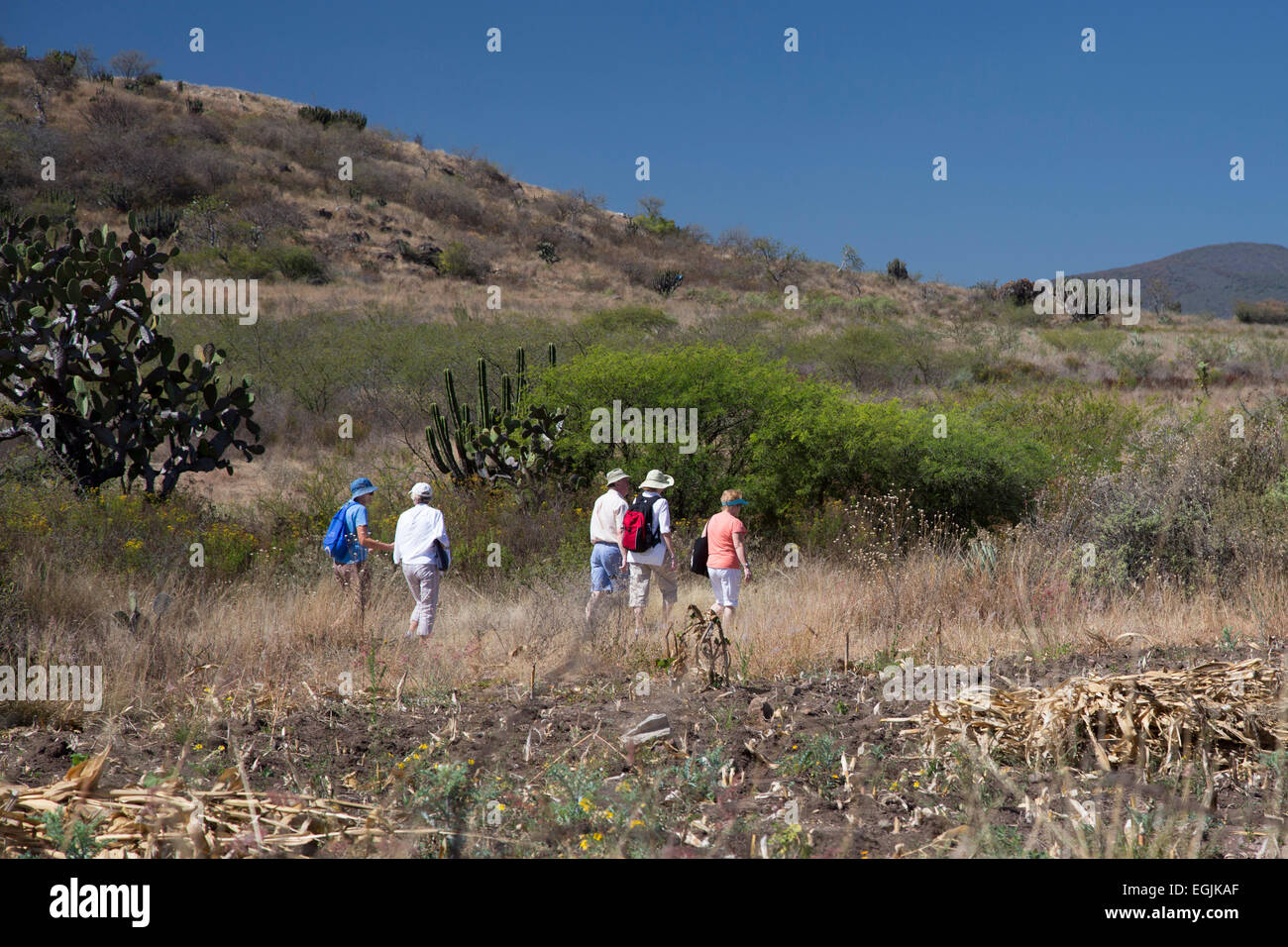 Rural Mexico High Resolution Stock Photography and Images - Alamy