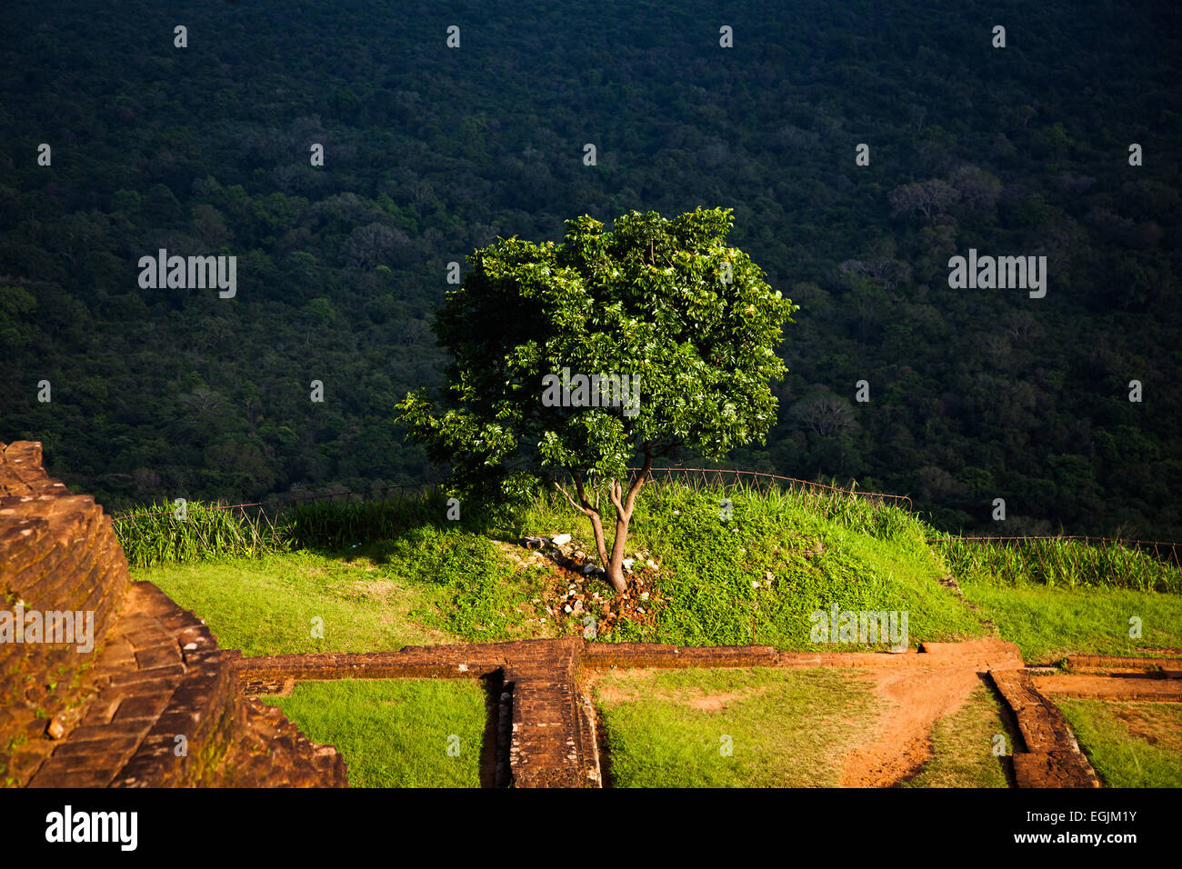 Sigiriya Lion Rock Fortress in Sri Lanka Stock Photo - Alamy