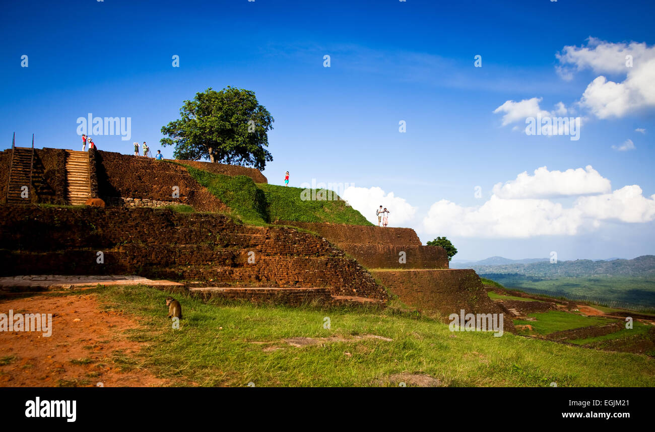 Sigiriya Lion Rock Fortress in Sri Lanka Stock Photo - Alamy