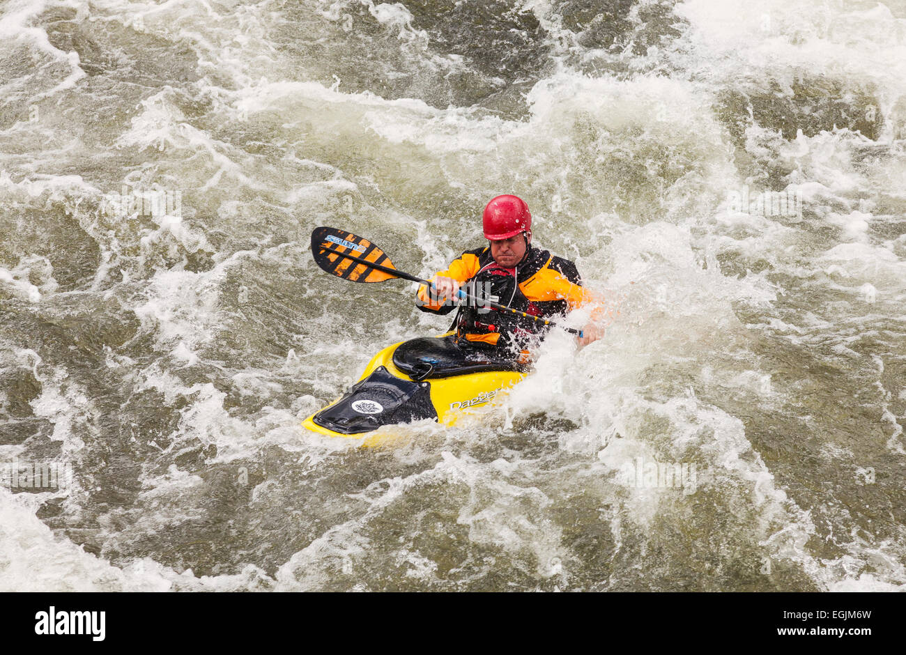 Male kayaker navigating whitewater rapids on the Arkansas River in ...