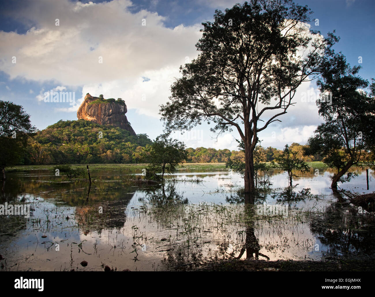 Sigiriya Lion Rock Fortress in Sri Lanka Stock Photo - Alamy