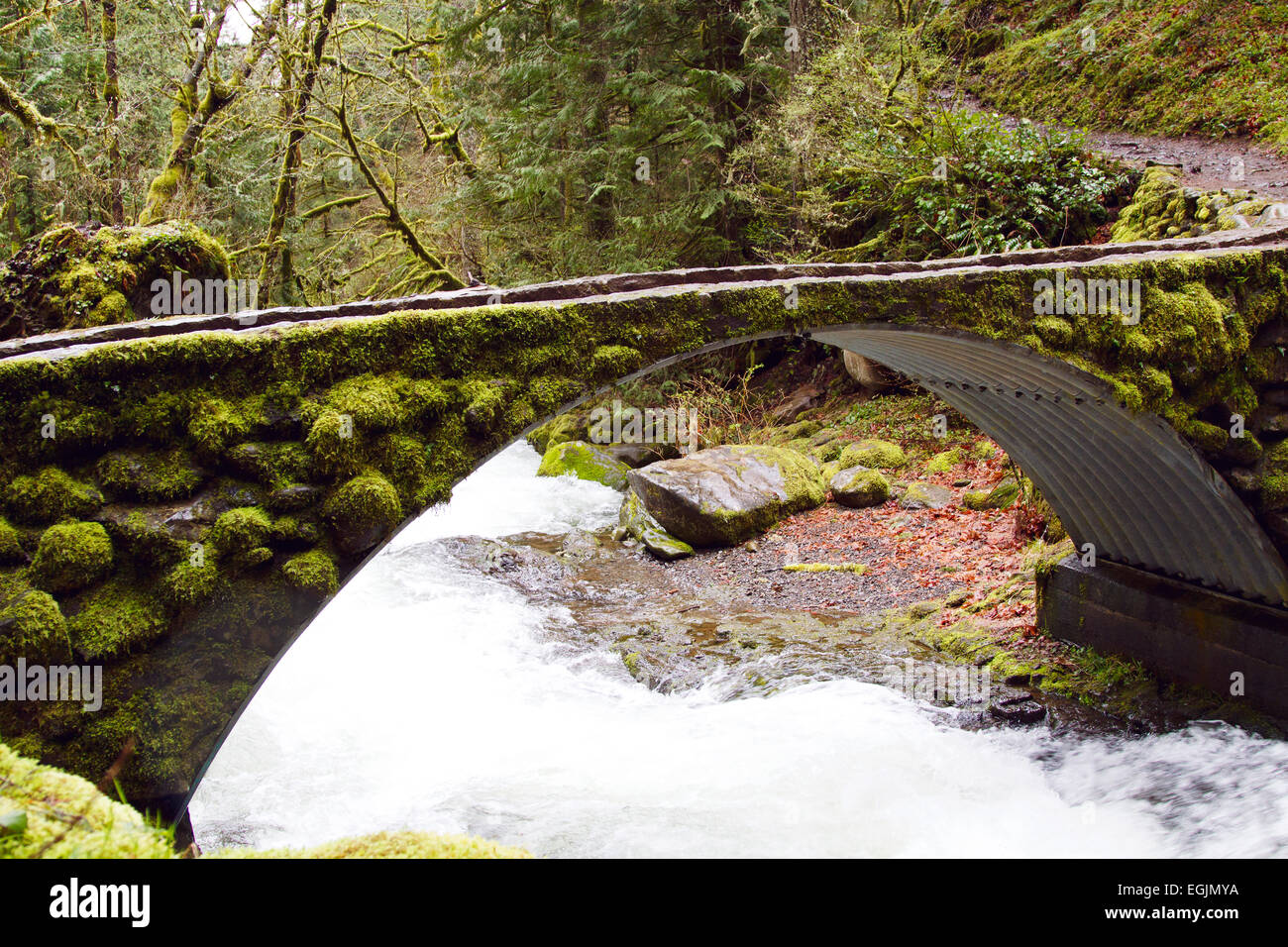 Pathway under bridge hi-res stock photography and images - Alamy