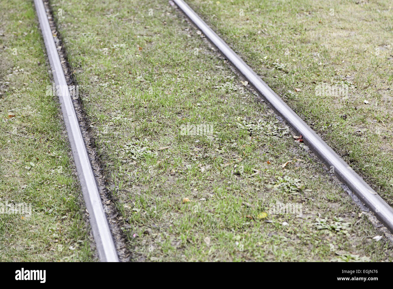 Tram tracks in the grass, detail some rails for a train in the city ...