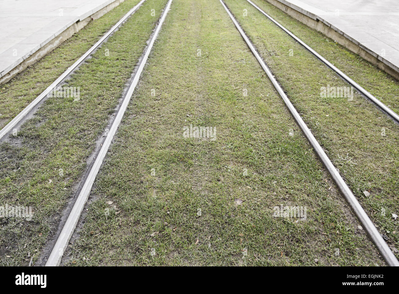 Tram tracks in the grass, detail some rails for a train in the city ...