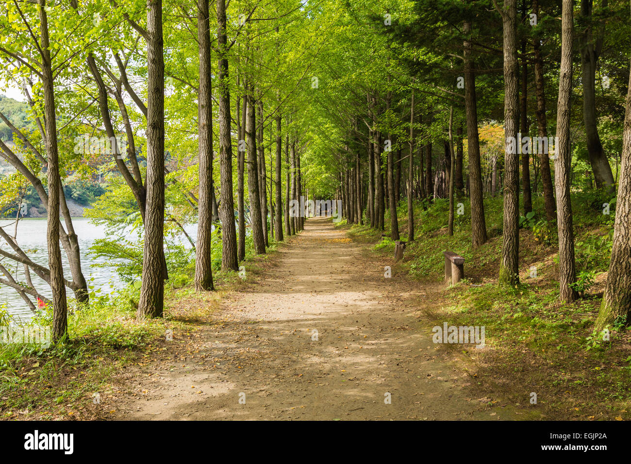 Nami Island