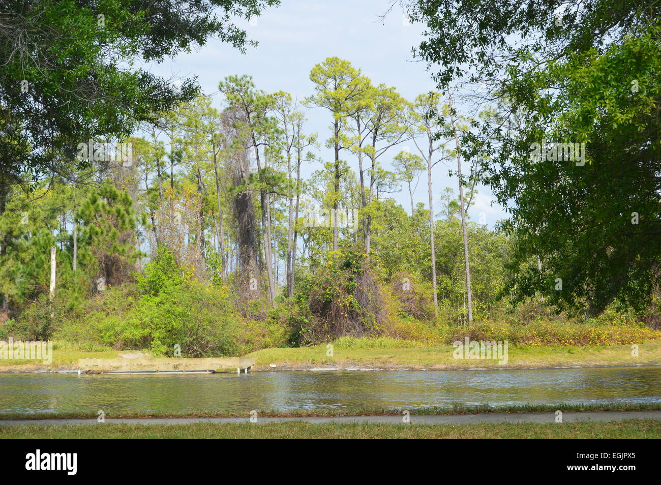 Amazing picture of a lac and trees Stock Photo - Alamy