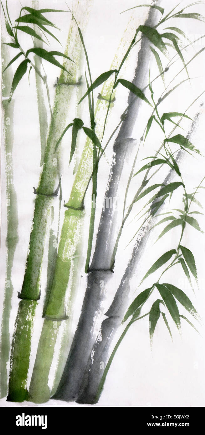 Bamboo original watercolor painting. Asian style Stock Photo - Alamy