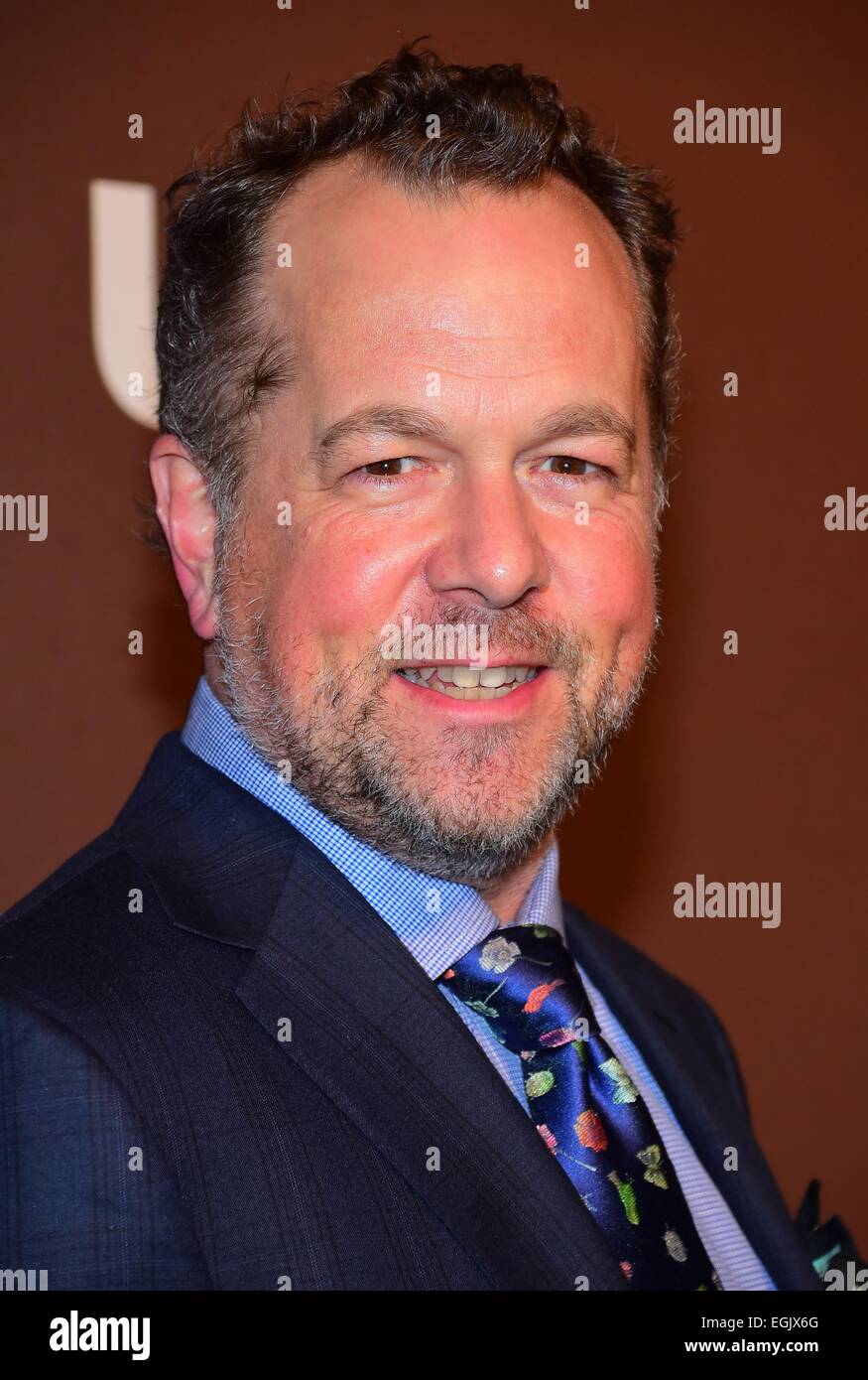 New York, NY, USA. 25th Feb, 2015. David Costabile at arrivals for DIG ...