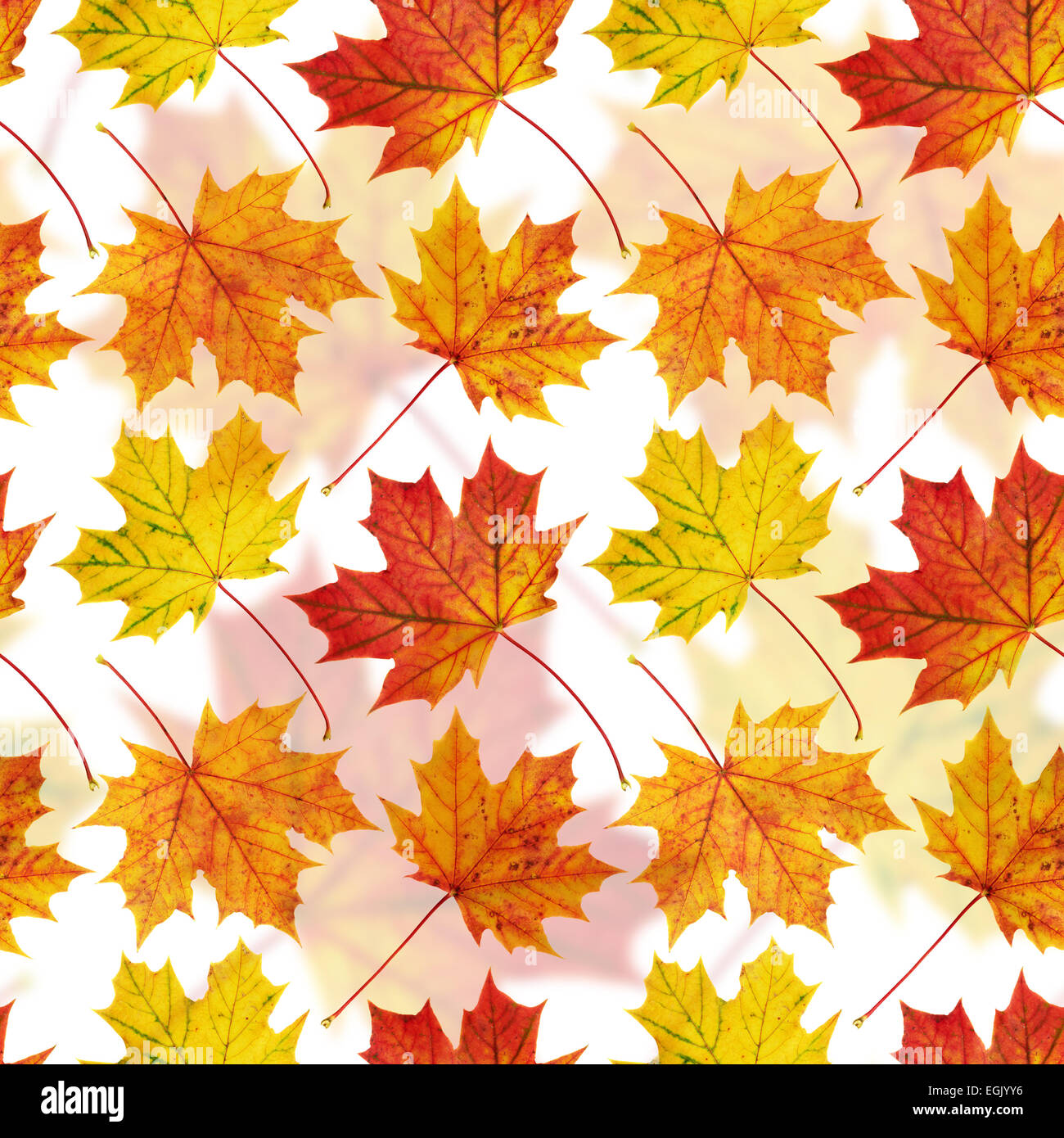 Maple-leaf seamless background Stock Photo - Alamy