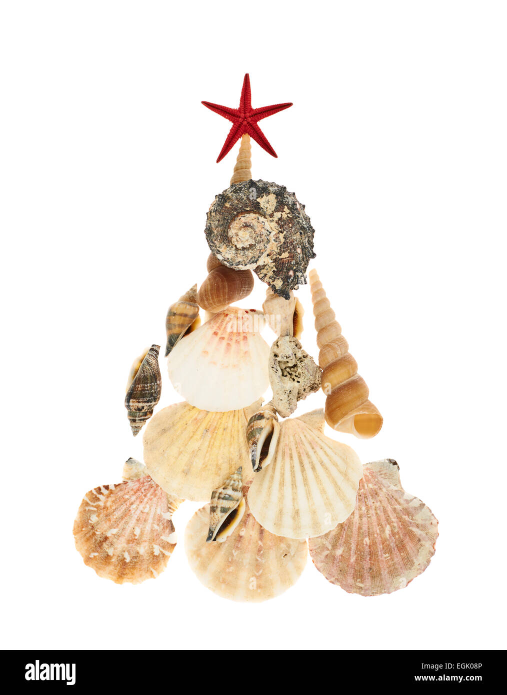 Christmas tree made of seashells Stock Photo - Alamy