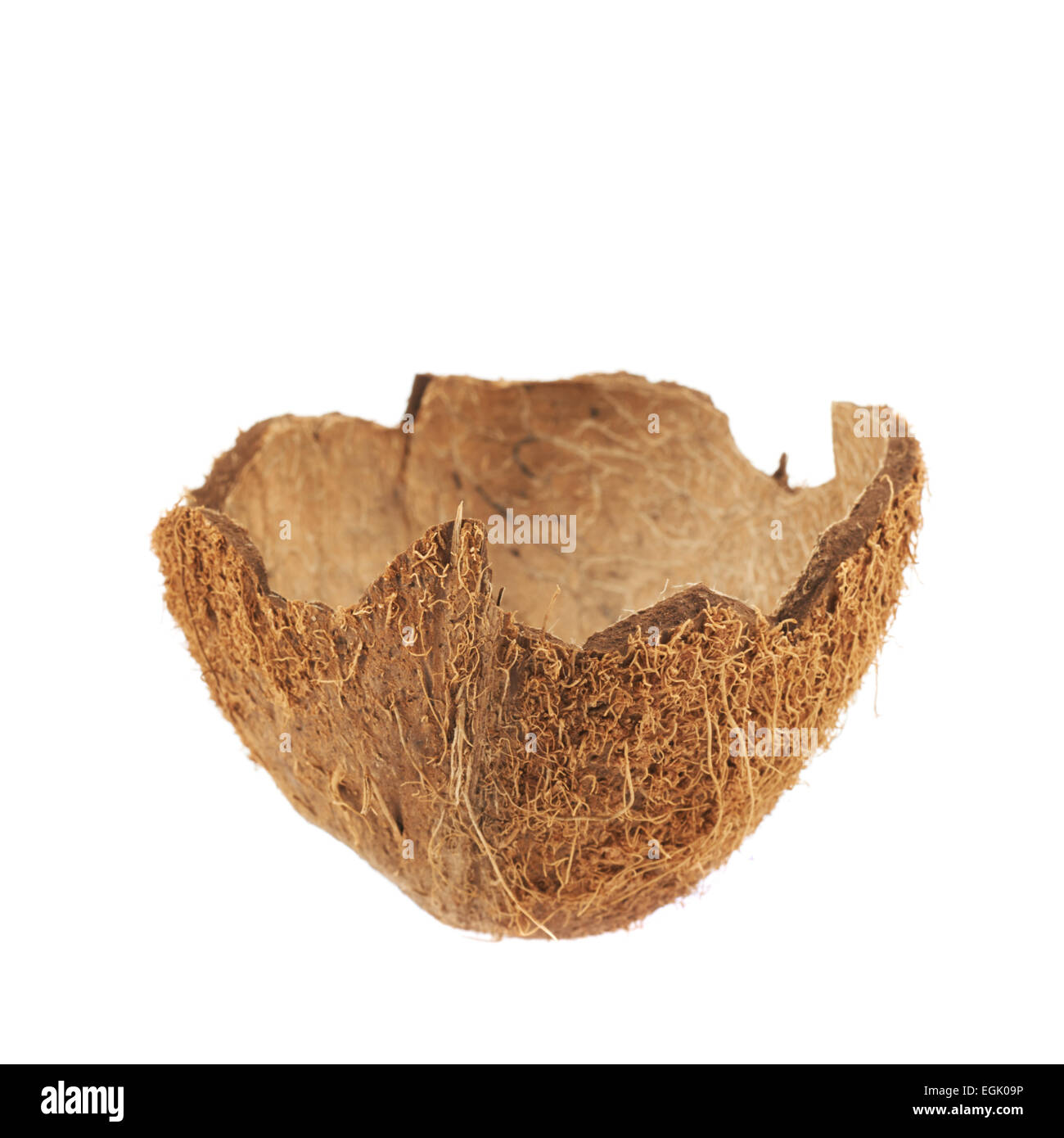 Coconut fruit shell cut in half Stock Photo - Alamy