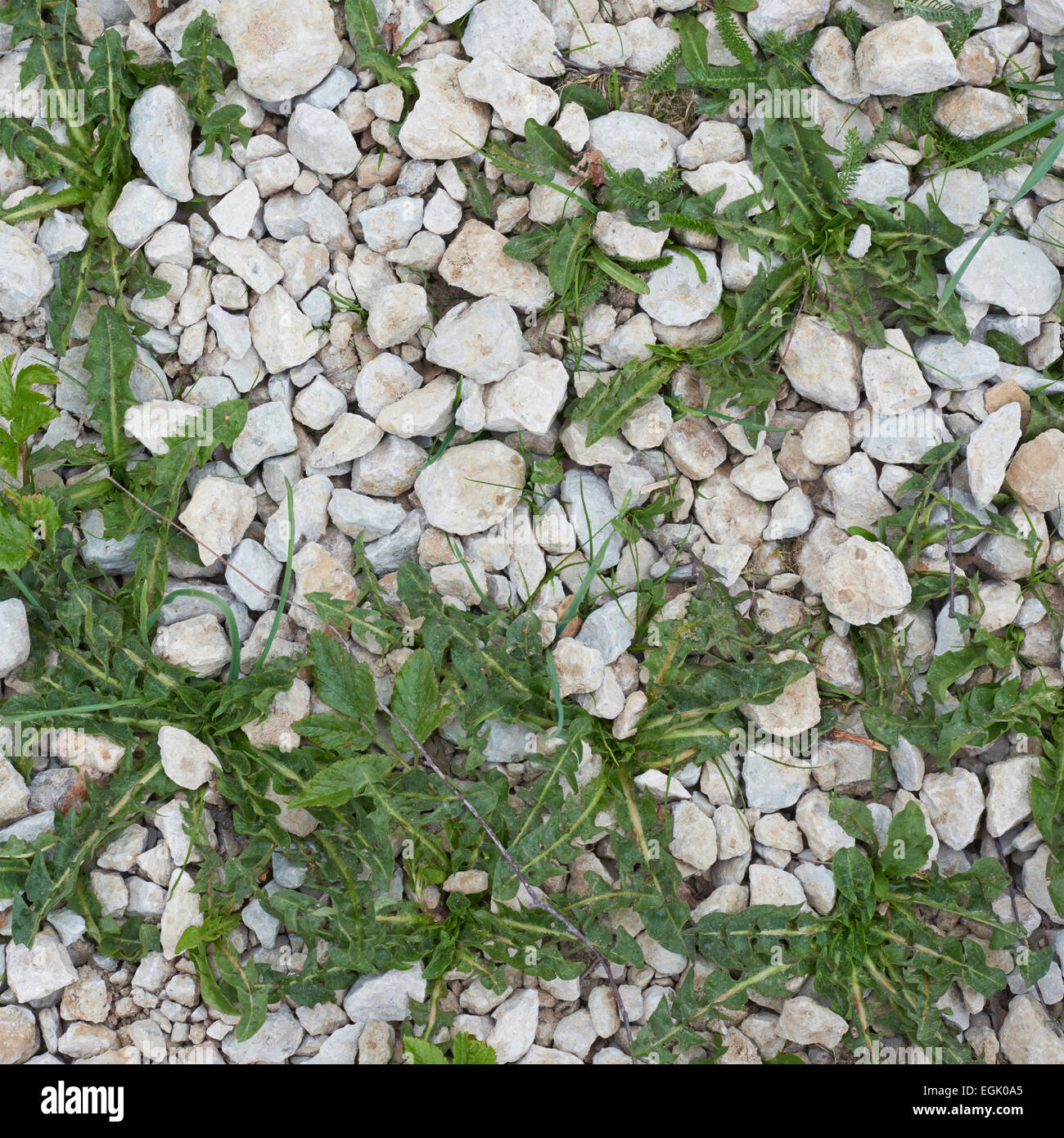 Stone pebble and grass Stock Photo - Alamy