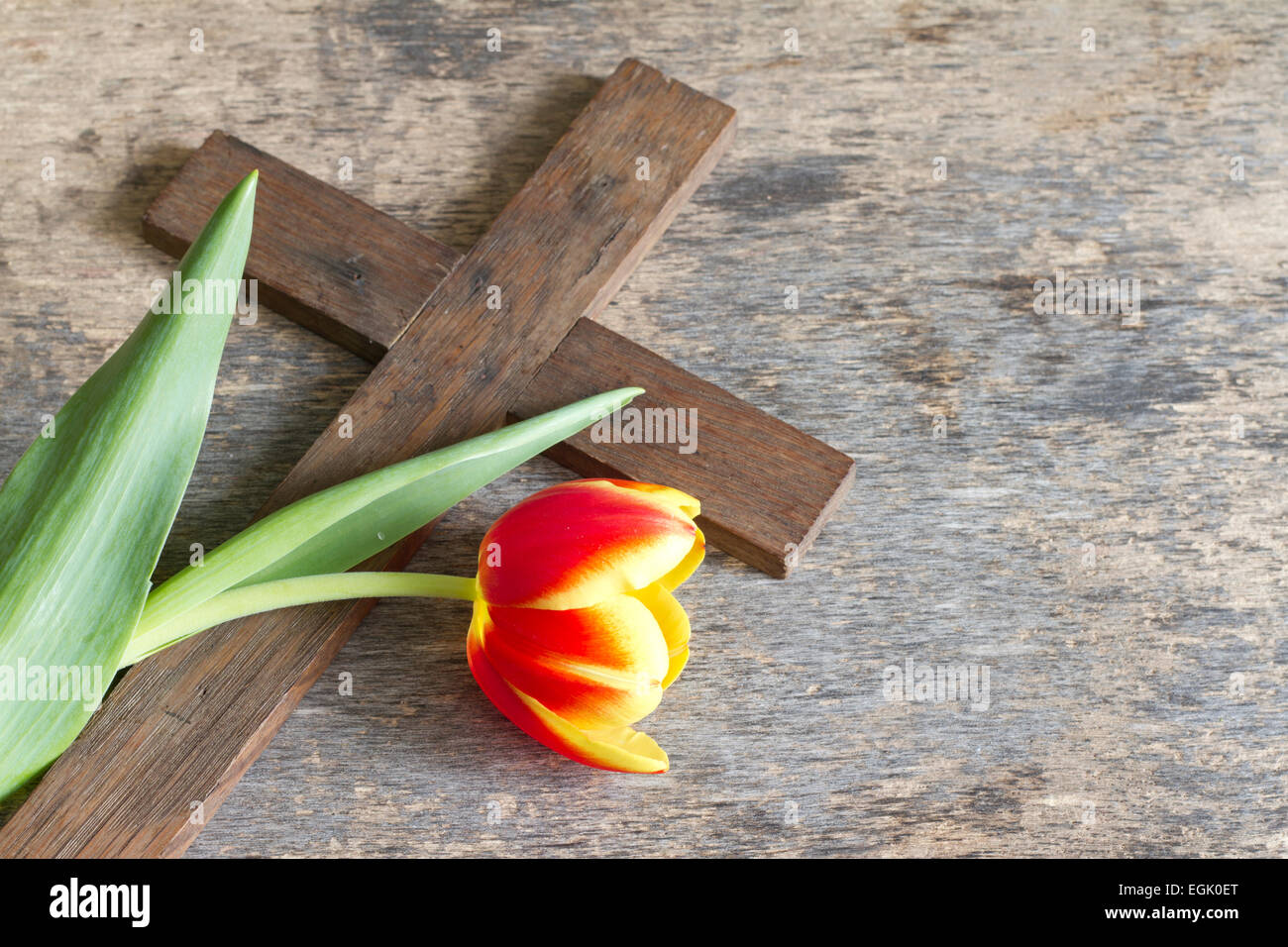 Spring tulip and cross abstract easter concept Stock Photo - Alamy