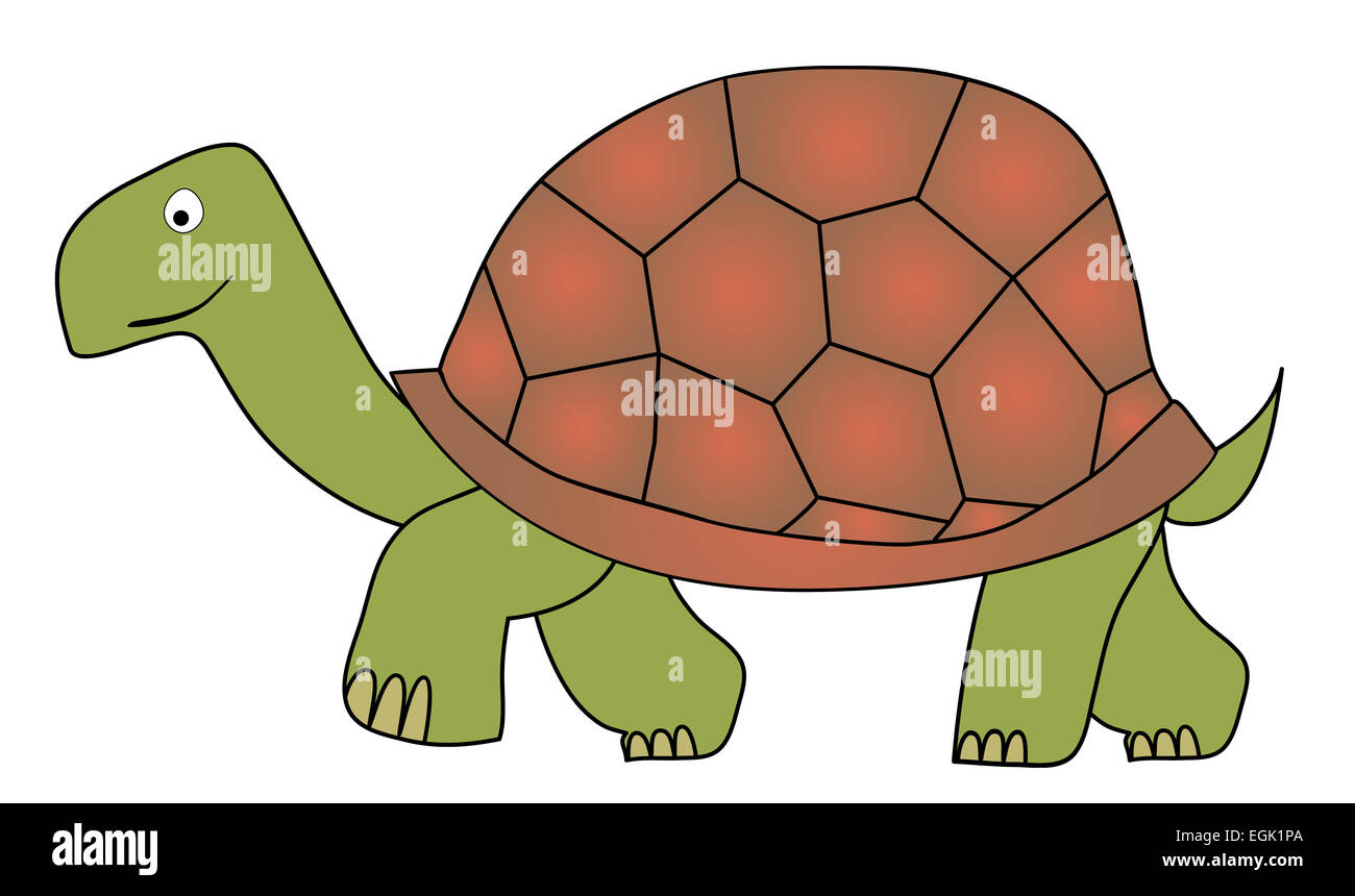 Turtle cartoon hi-res stock photography and images - Alamy