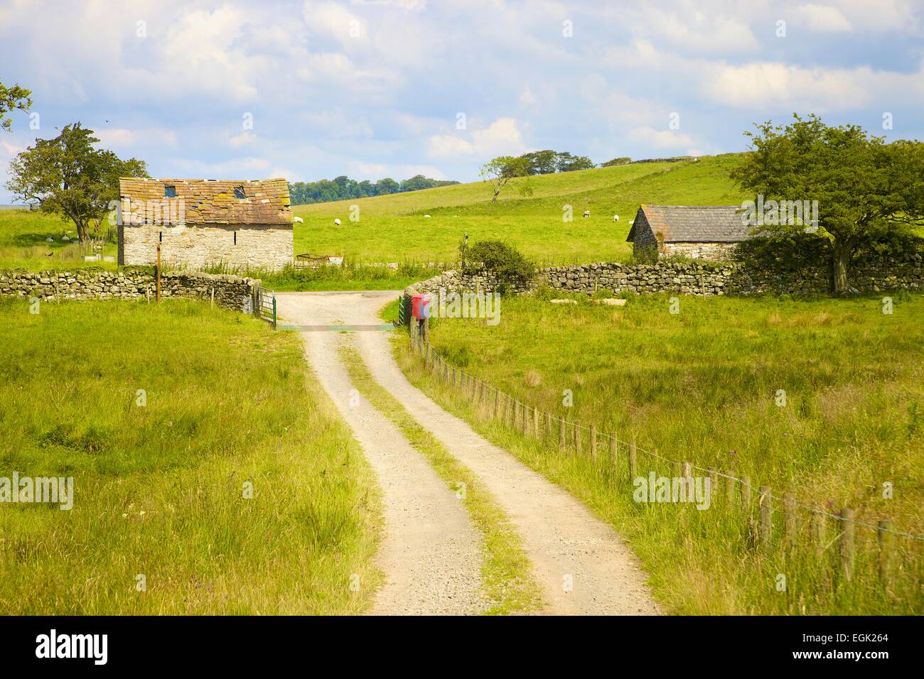 Farm track. Apple Tree Milecastle Turret 50B Hadrian's Wall Path ...