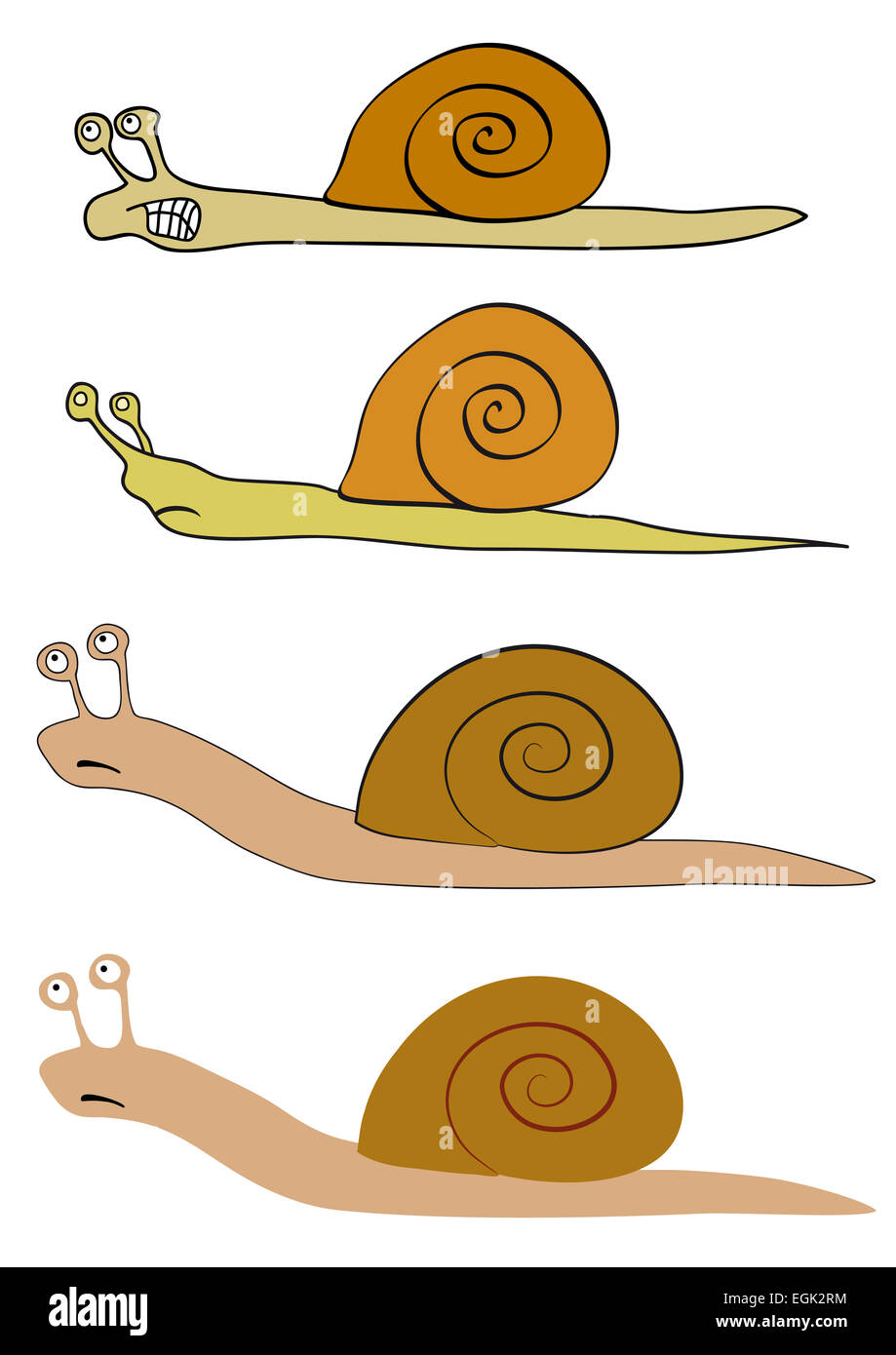 Slowly animal hi-res stock photography and images - Alamy