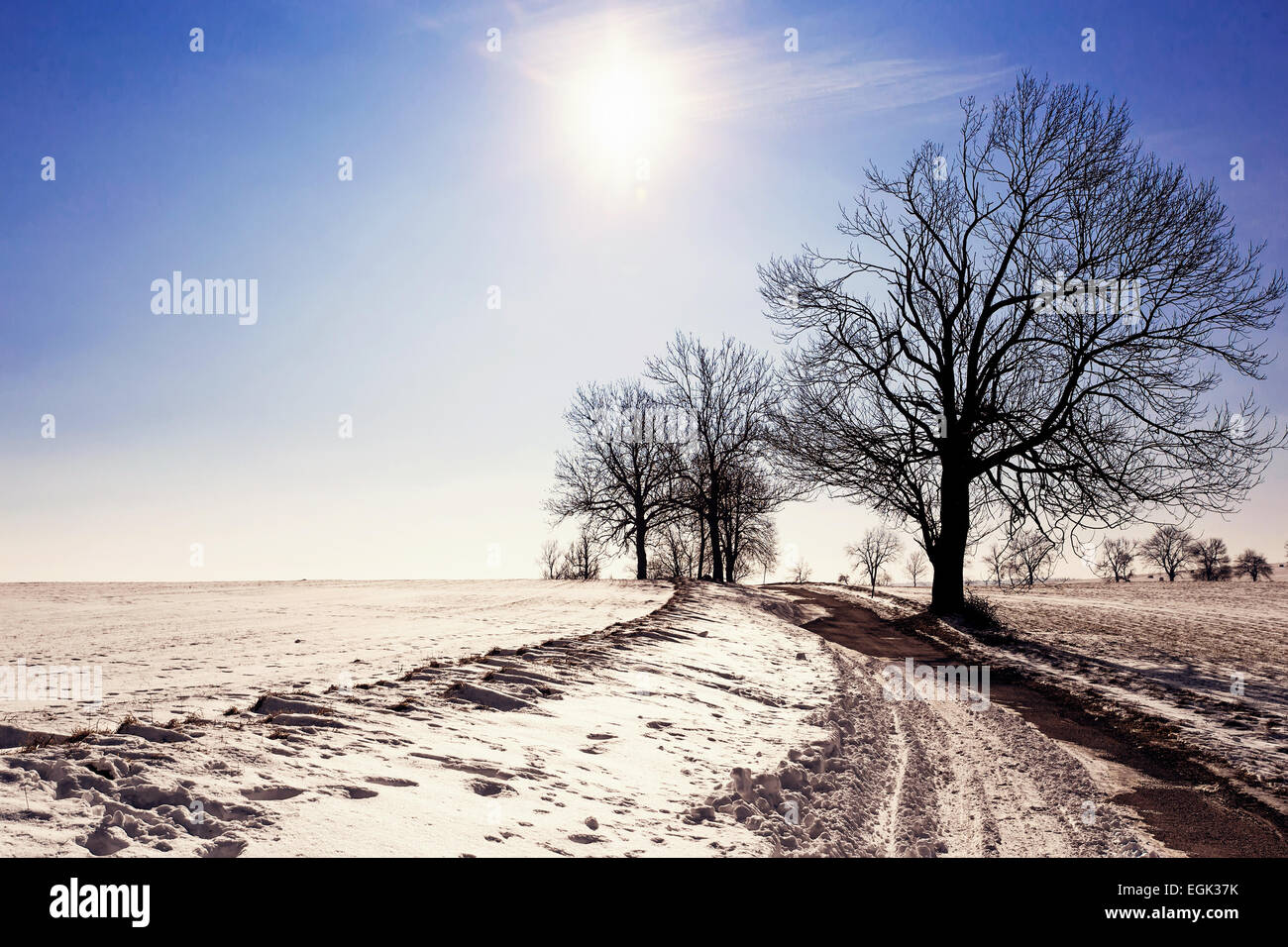 winter landscape with old grey rural road and trees, blue sky and sun ...