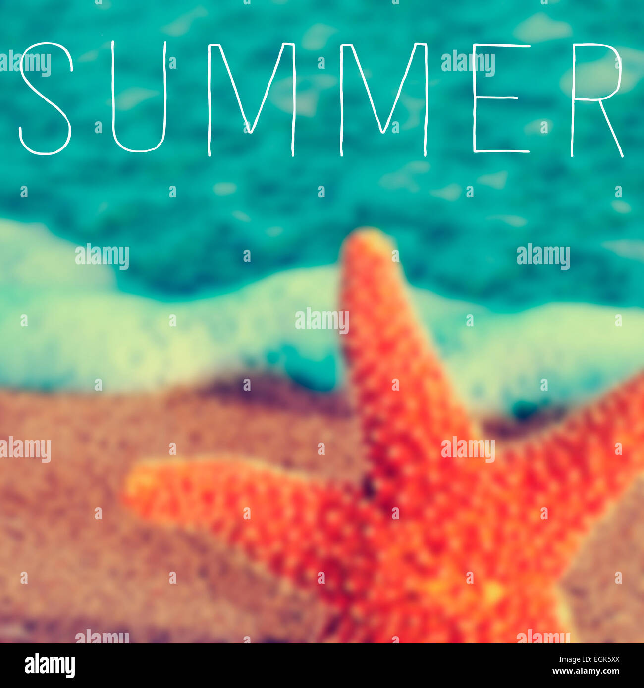 the word summer written on a blurred image of a starfish in the ...
