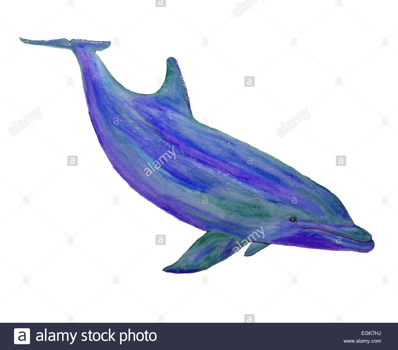 Delphin Stock Photos & Delphin Stock Images - Alamy