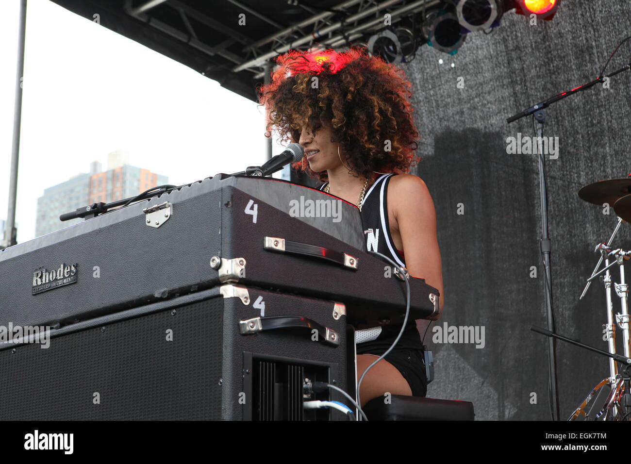 AfroPunk Festival 2014 at Commodore Barry Park - Day 1 Featuring ...