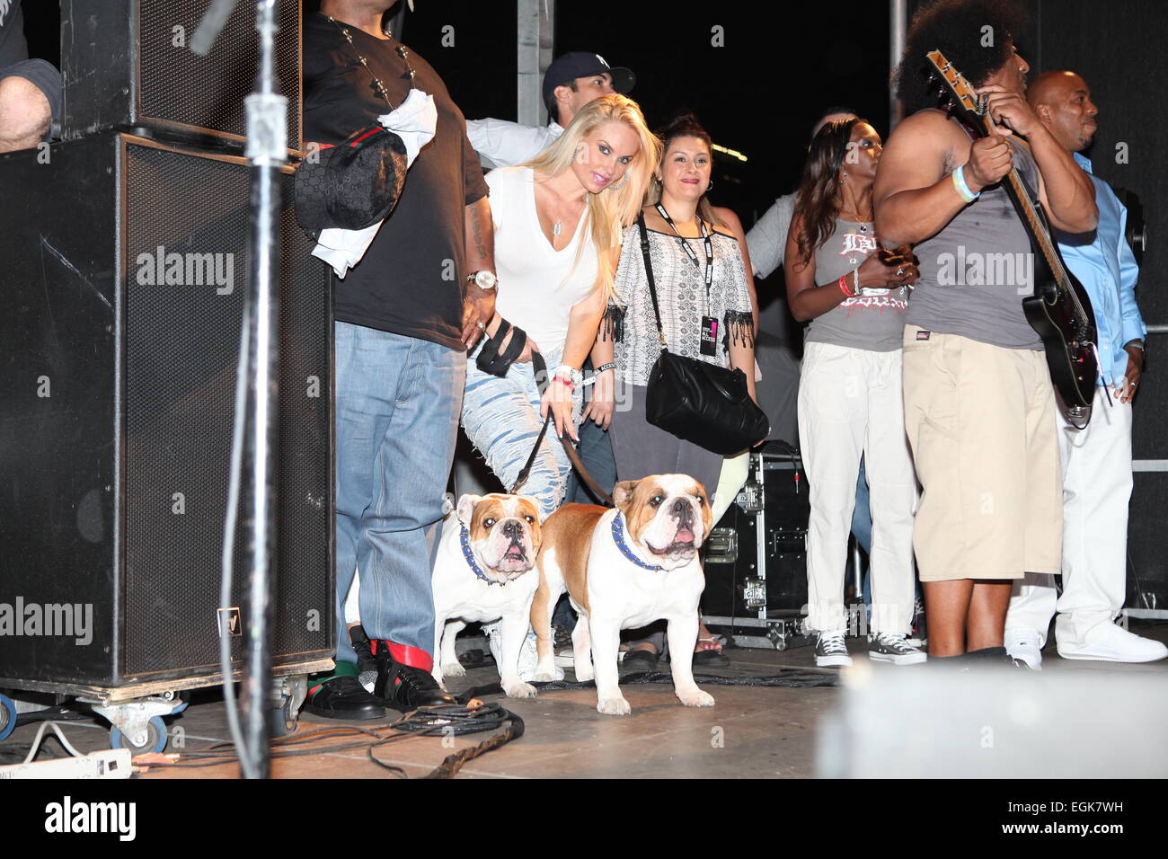 Barry dogs hi-res stock photography and images - Alamy