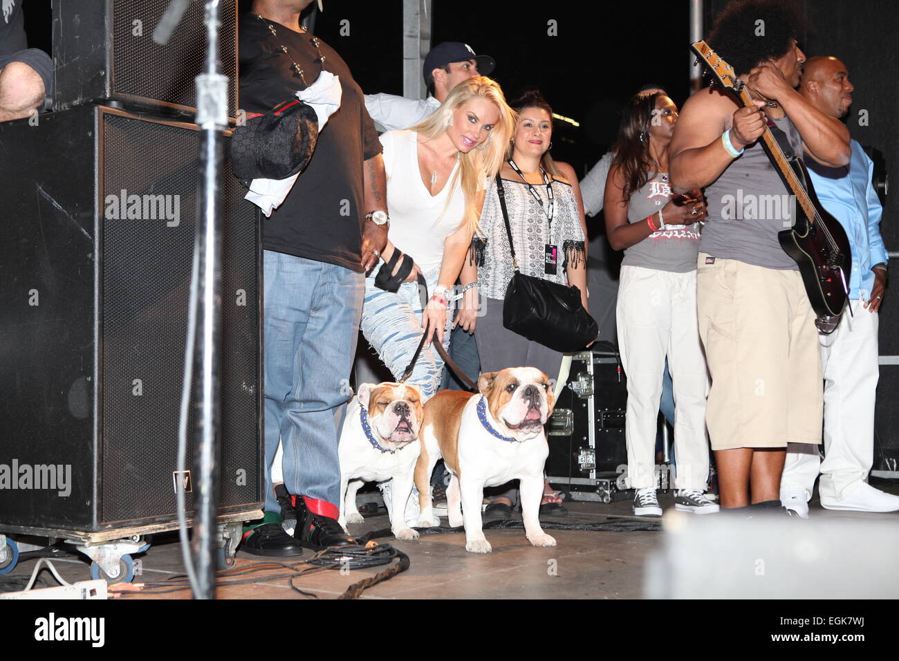 Barry Dogs High Resolution Stock Photography and Images - Alamy