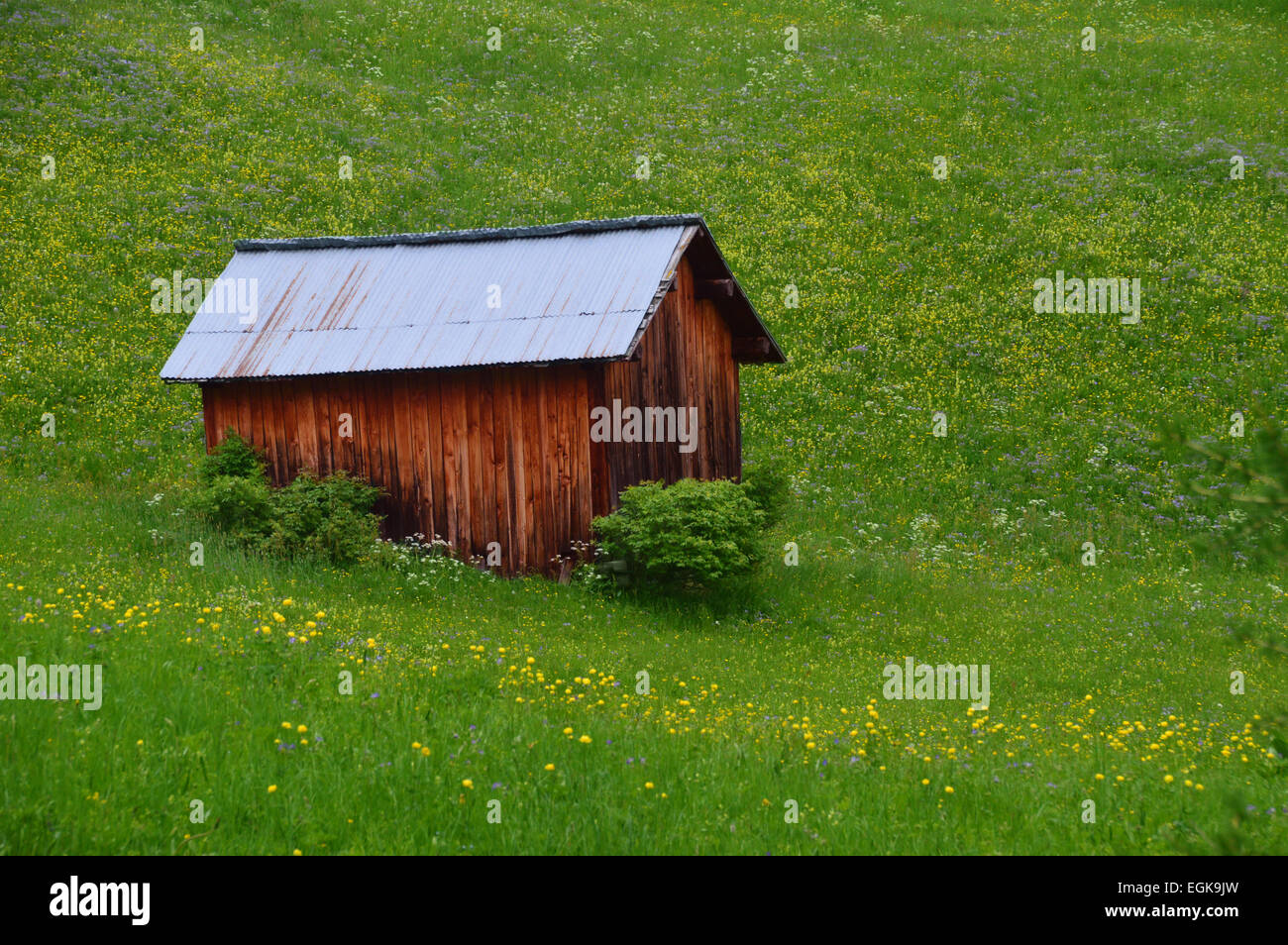 Alpine Mountain Shepard Hut in Springtime Stock Photo - Alamy