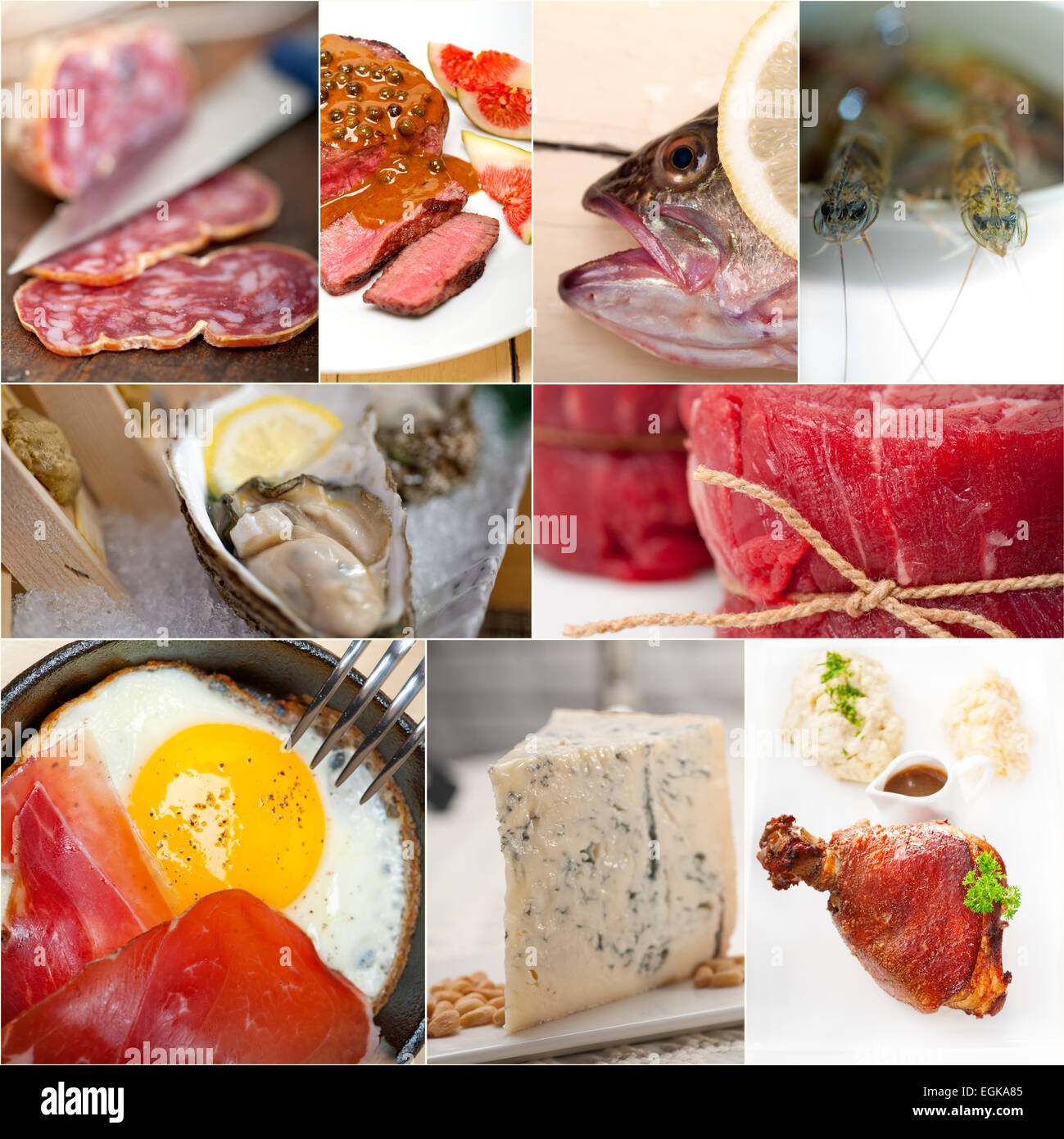 high protein food collection collage nested on white frame Stock Photo ...