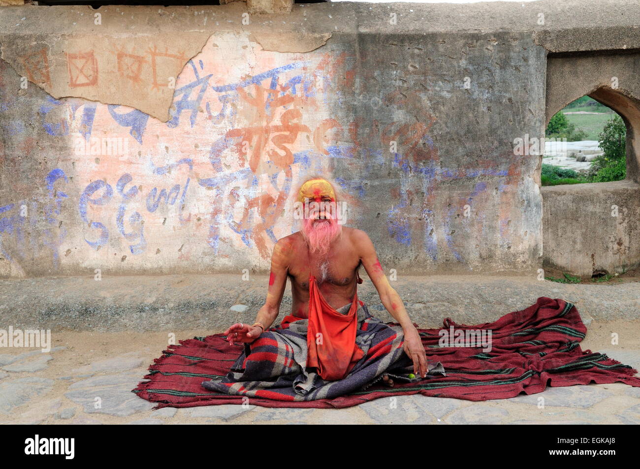 Indian holy man hi-res stock photography and images - Alamy