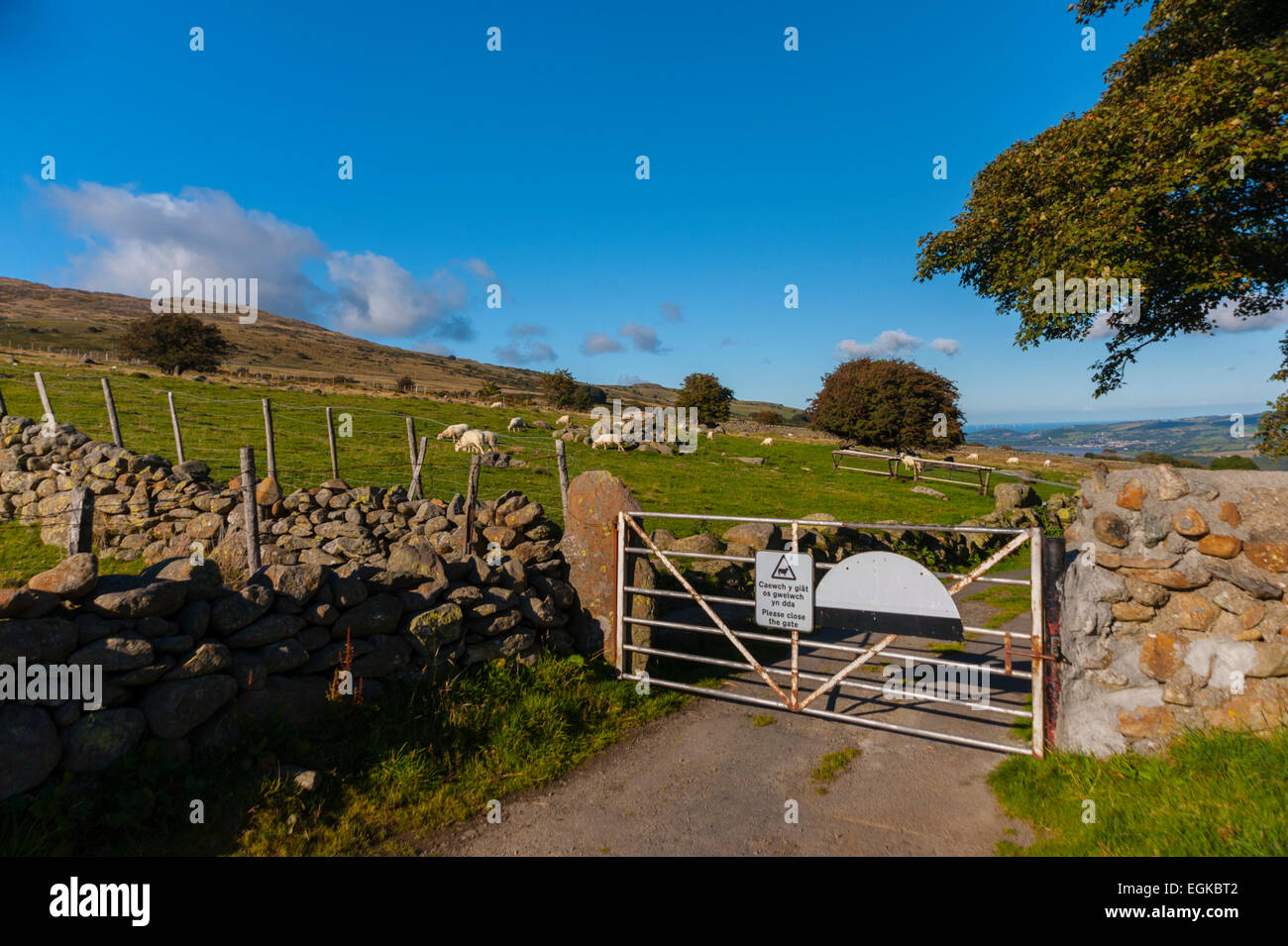 Welsh byway hi-res stock photography and images - Alamy