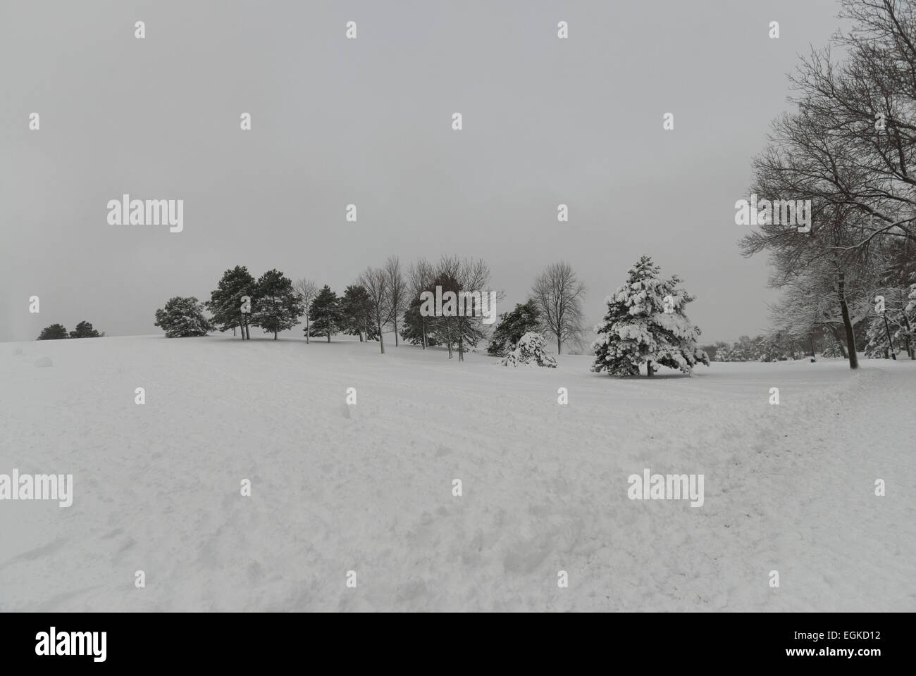 Park after the snow storm Stock Photo - Alamy