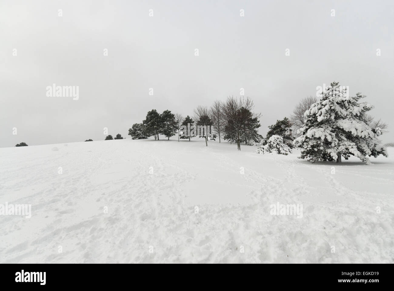 Park after the snow storm Stock Photo - Alamy