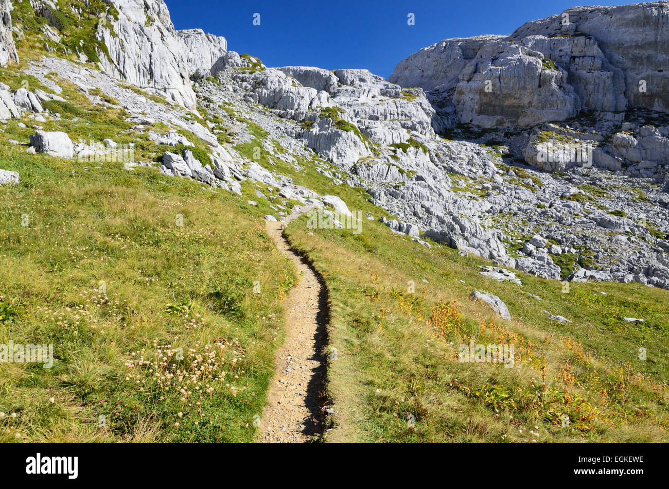 Lifestyle trail path pathway hi-res stock photography and images - Alamy