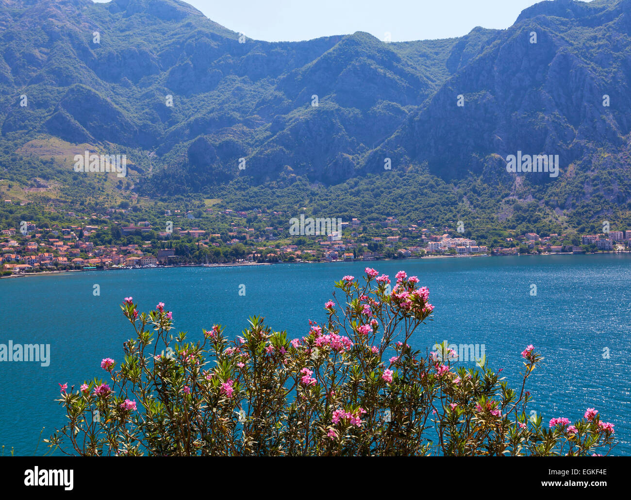 Town of Risan - The Bay of Kotor, Montenegro Stock Photo - Alamy