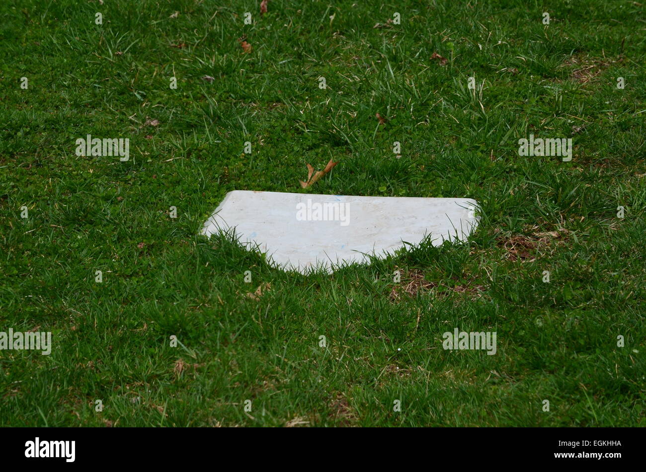 Grass plates hi-res stock photography and images - Alamy