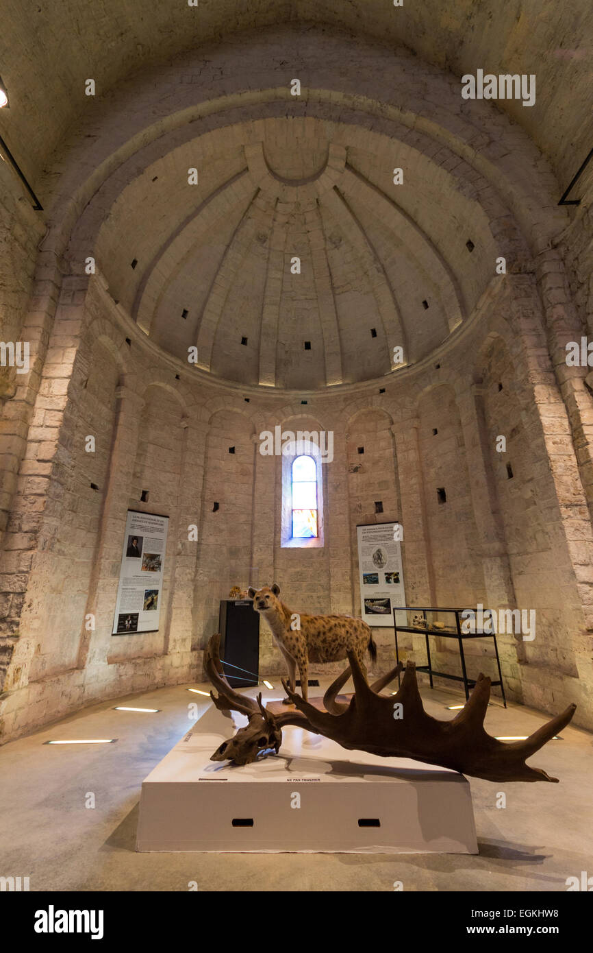 France, Cote d'Azur, Saint Raphael, archaeological museum in San Raféu ...