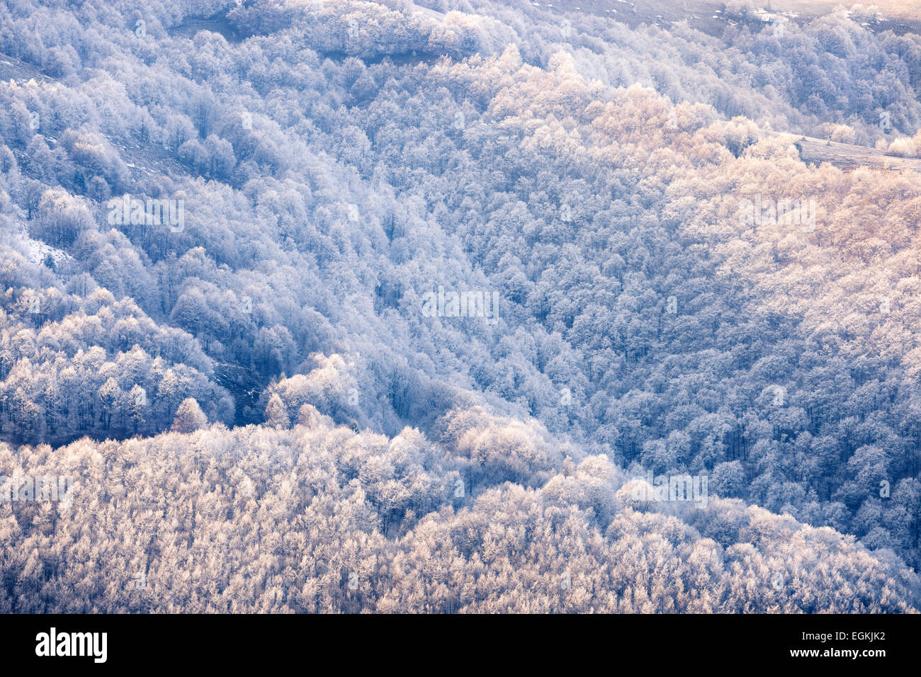 Carpathian mountains frozen hills, Ukraine Stock Photo - Alamy
