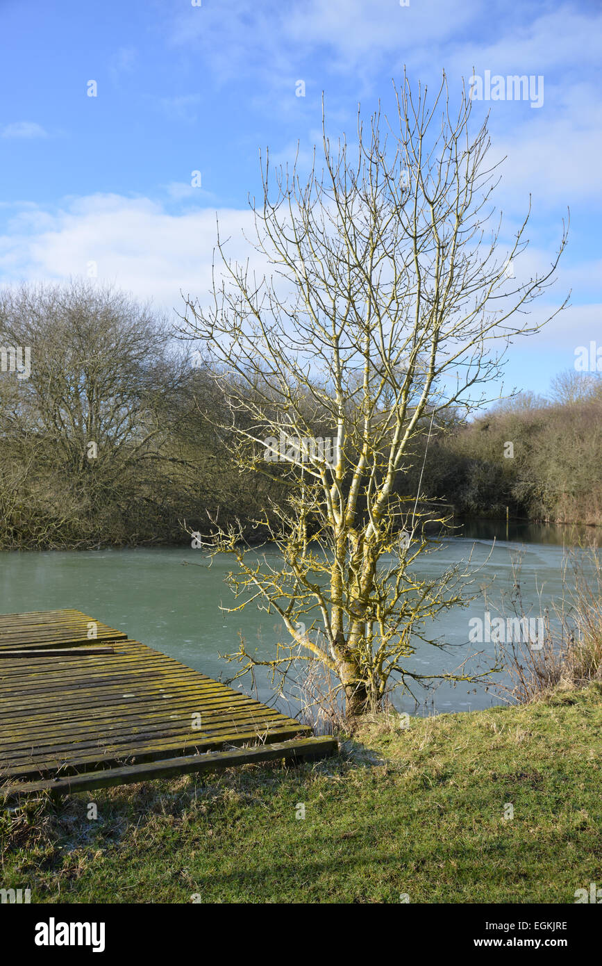 Frozen pond near Hook Norton Stock Photo - Alamy