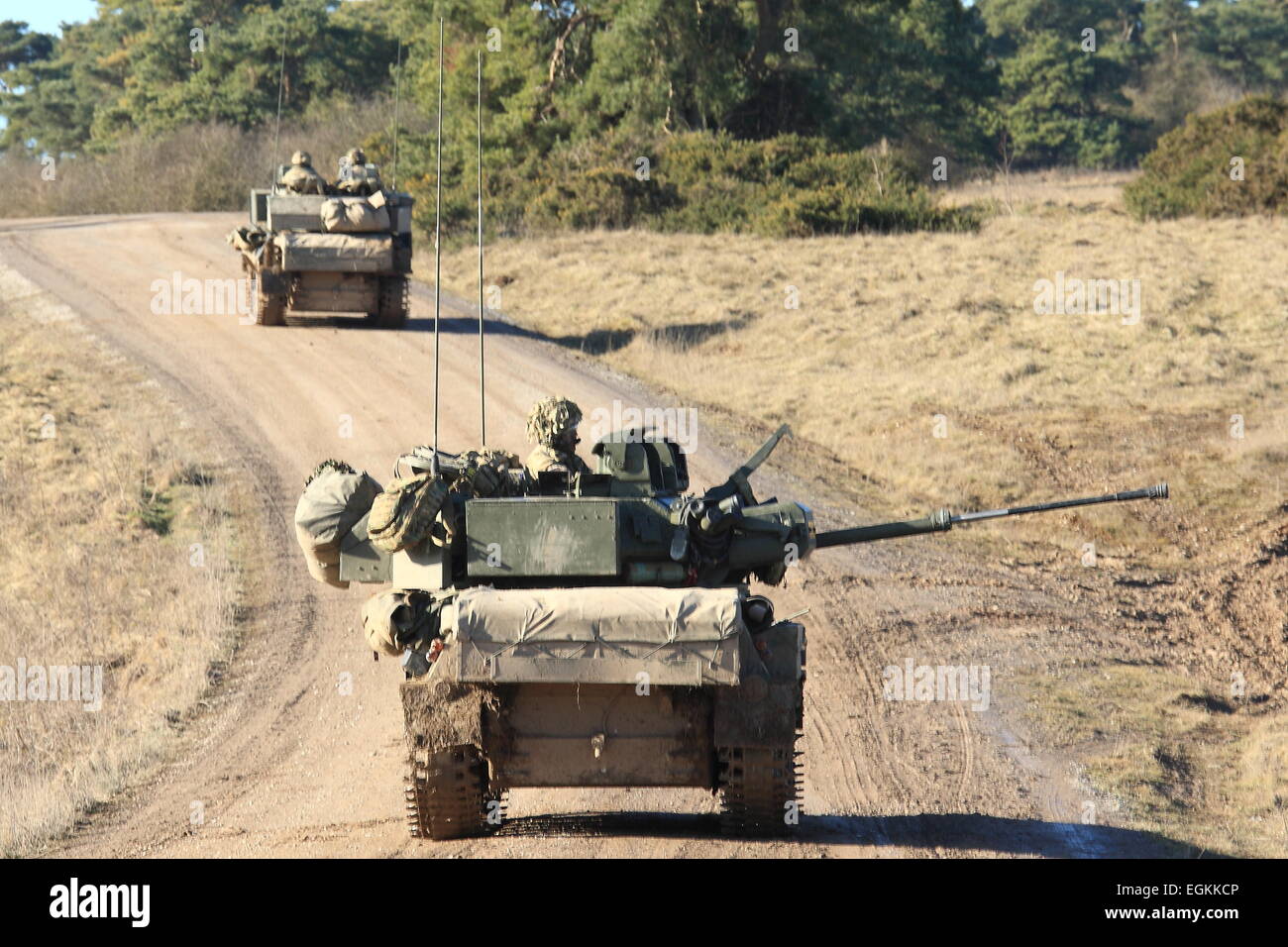 A Pair of Scimitar's working tactically during a training exercise ...