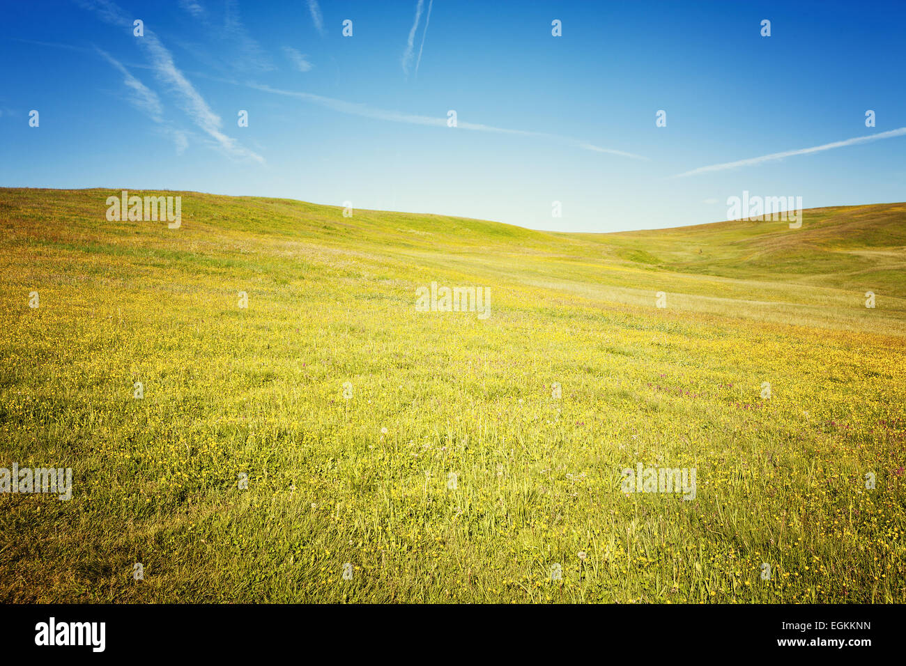 Meadow style hi-res stock photography and images - Alamy