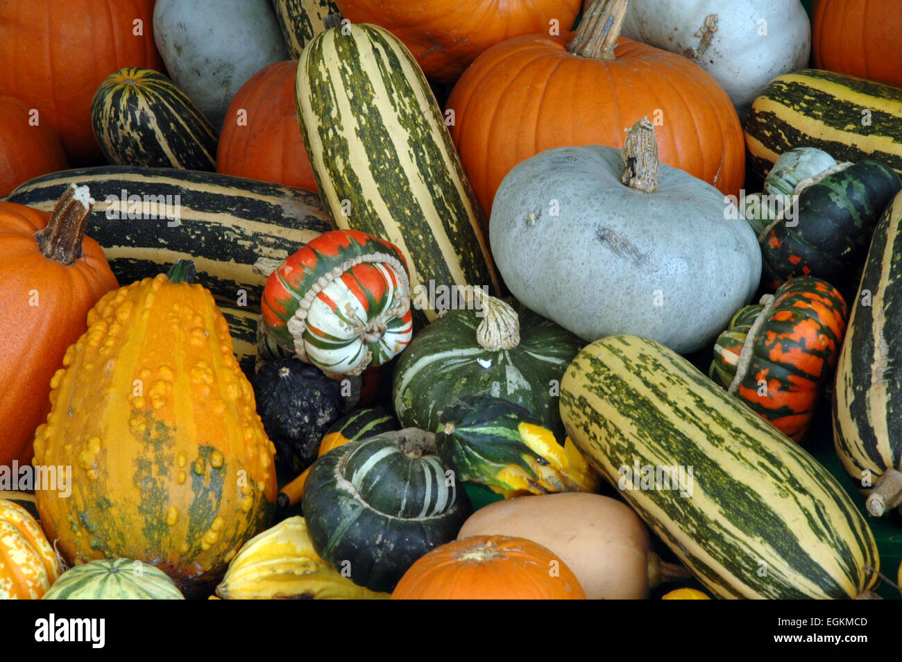 Crown pumpkins hi-res stock photography and images - Alamy