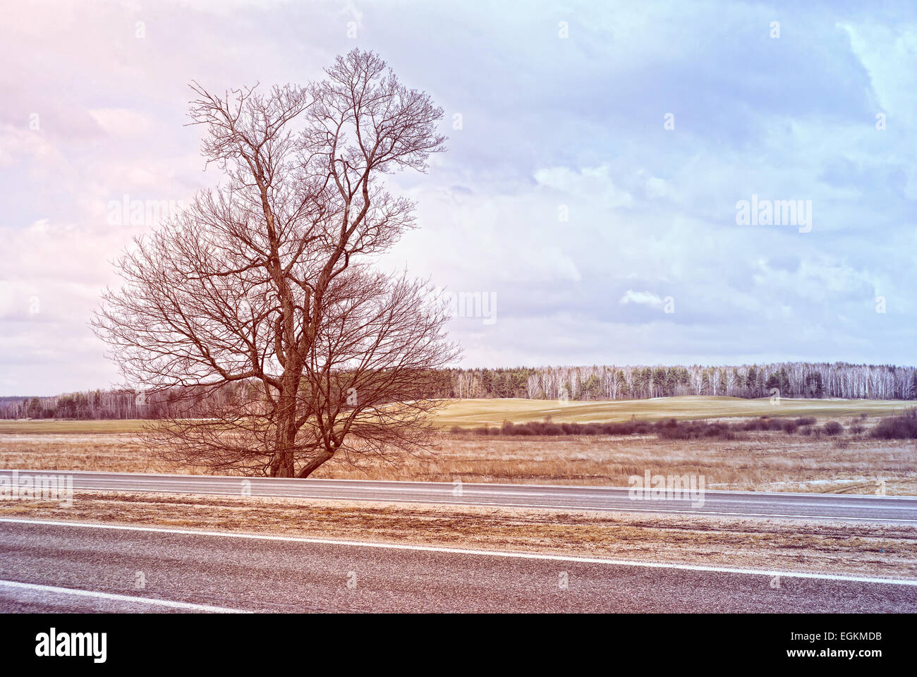 European landscape in March. On fields snow has thawed. Nature wakes up ...