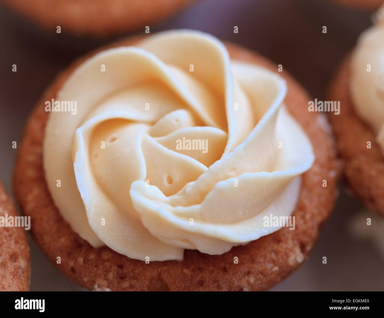 magenta Cup-cake close-up Stock Photo - Alamy