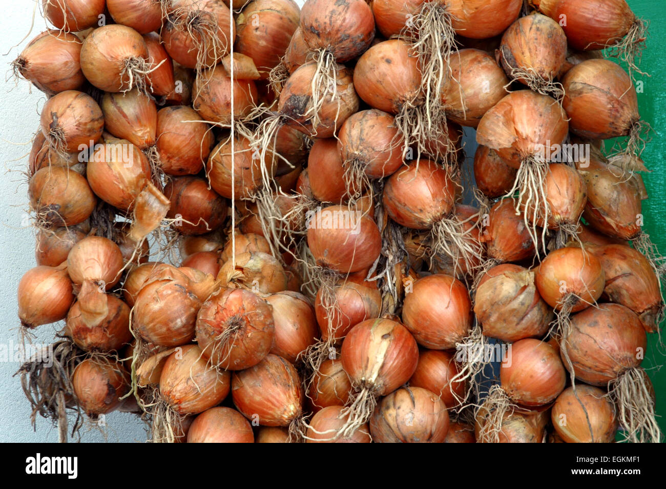 Strings of onions hi-res stock photography and images - Alamy
