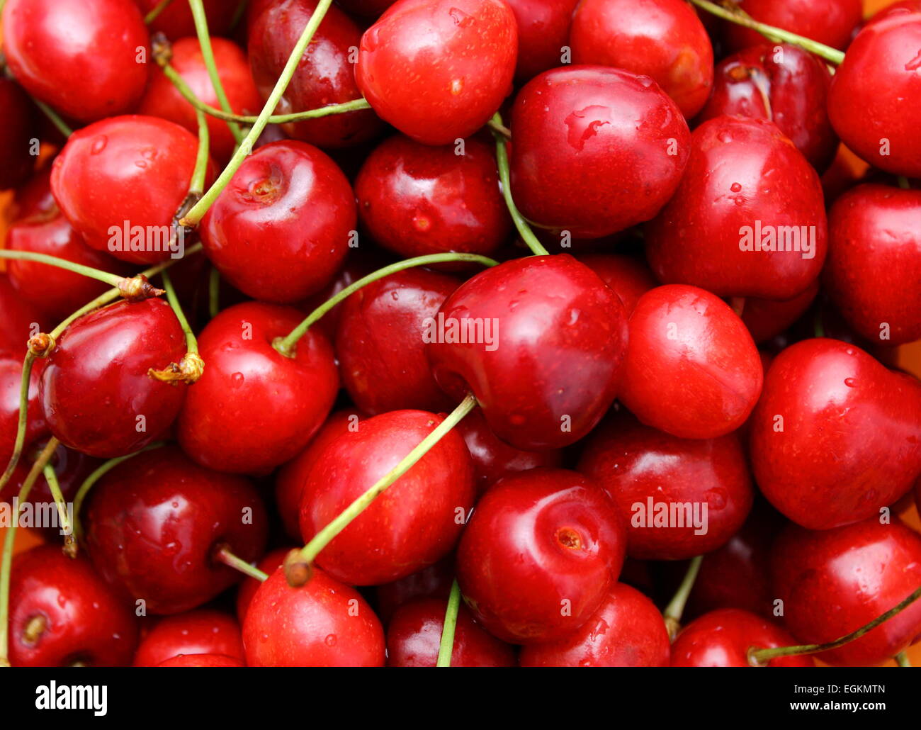 bunch of red red cherry with stem attached Stock Photo - Alamy