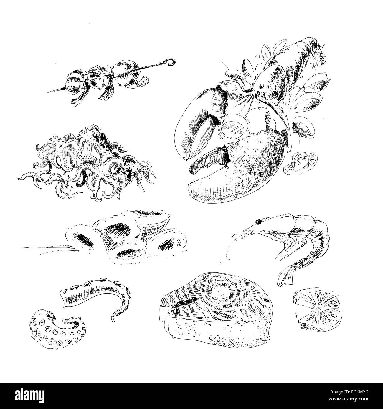 Salmon fish sketch hand Black and White Stock Photos & Images - Alamy