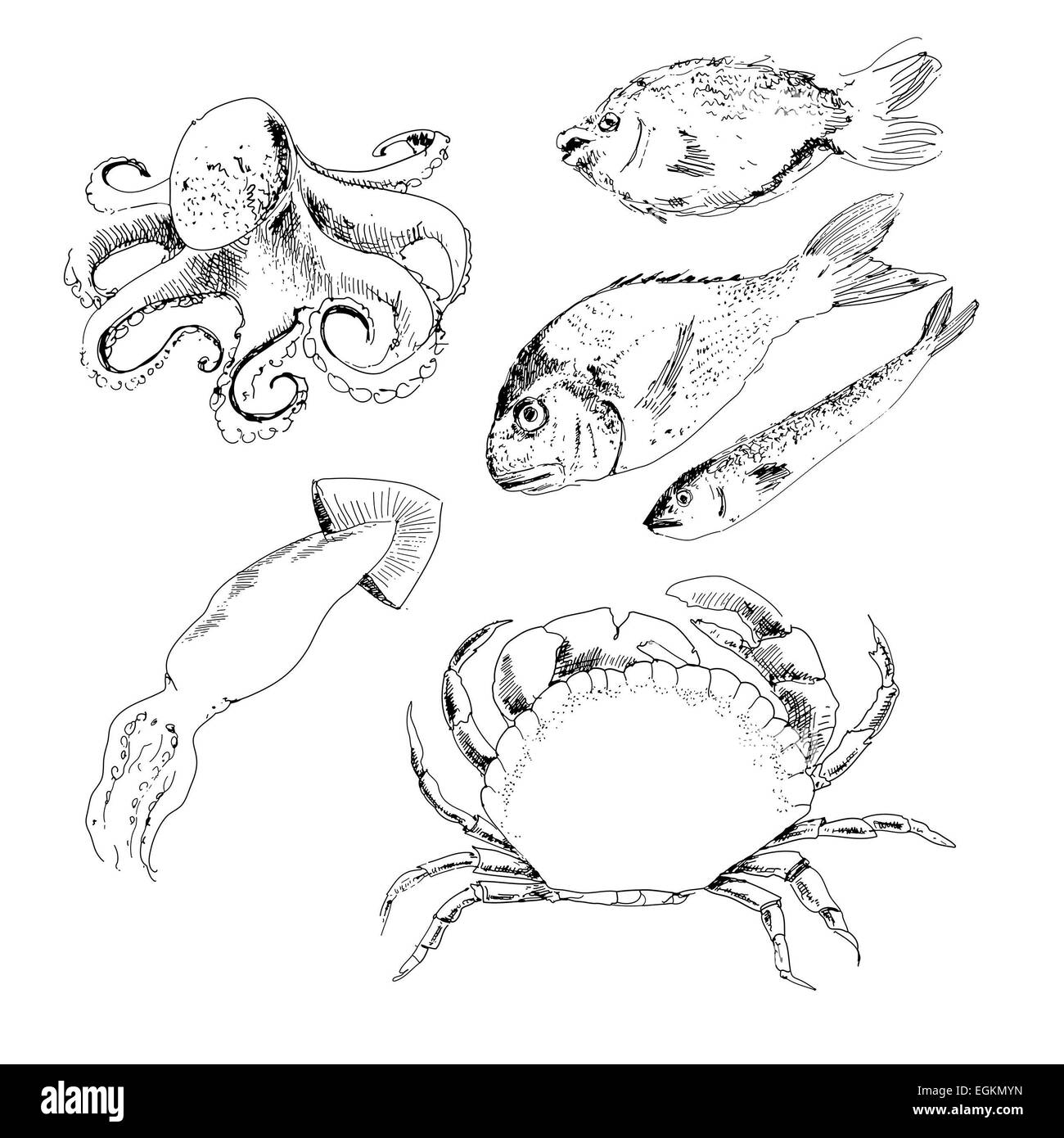 Hand drawn octopus hi-res stock photography and images - Alamy